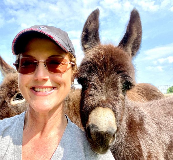 Cypress Farm Registered Miniature Donkeys